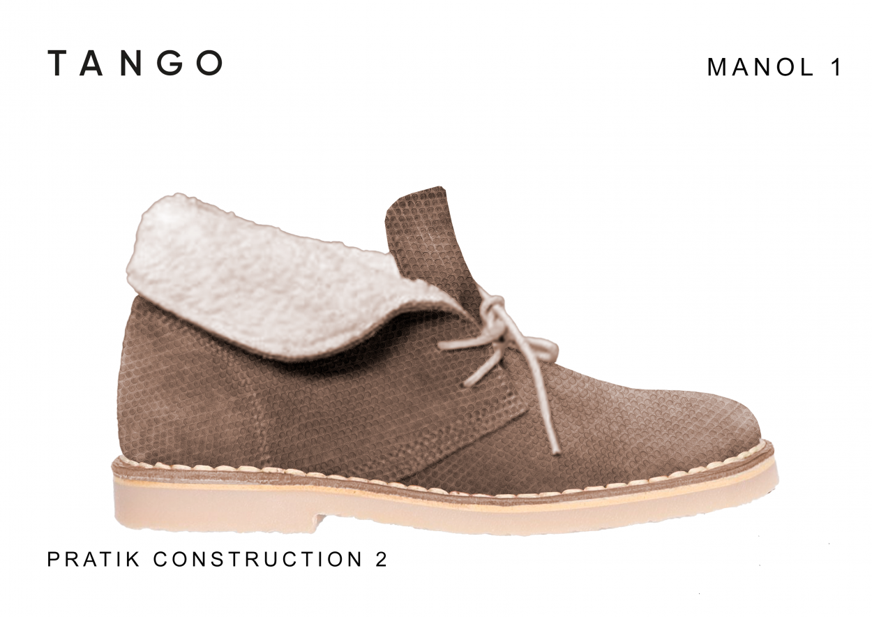 Tango Shoes