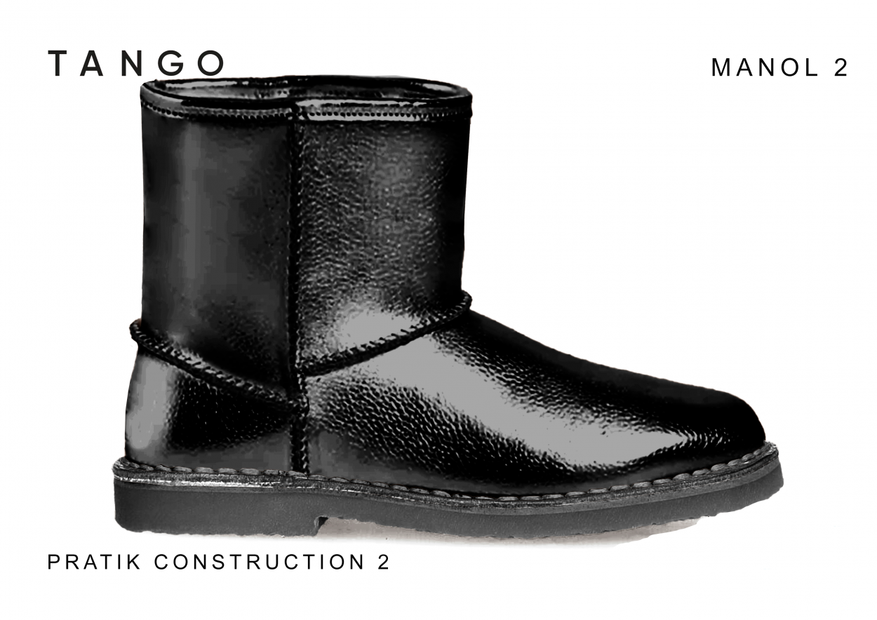 Tango Shoes