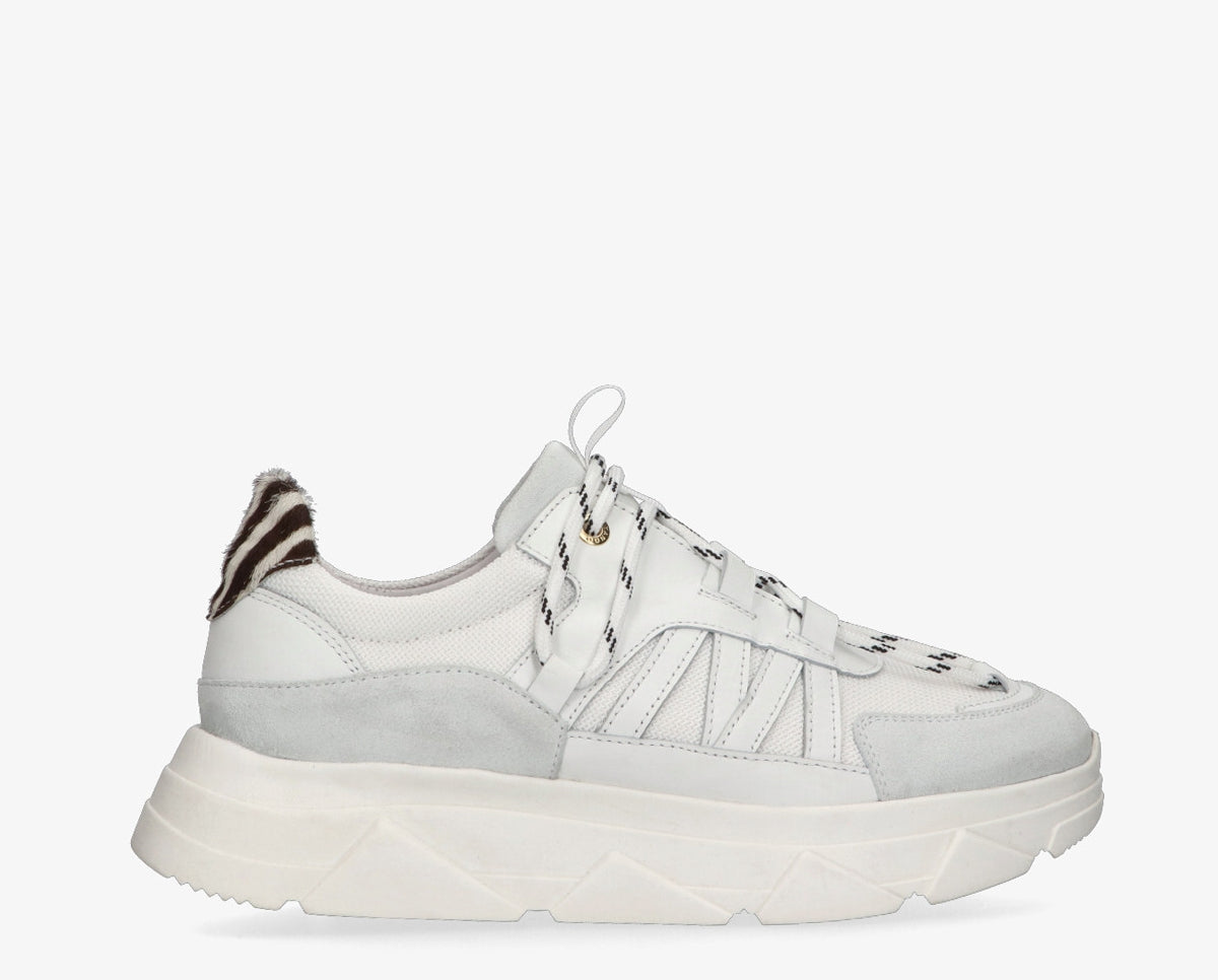 TANGO Sneakers | Tango Shoes | Officiële Webshop